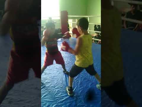Hindarx boks mektebi Vusal Tural cutluyu(1)