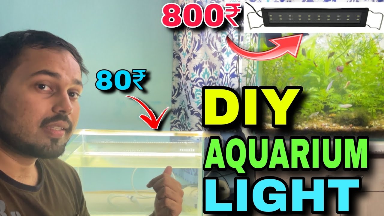 How to Make an Aquarium Light 💡 || DIY Fish Tank 🐟 LED Light Setup ...