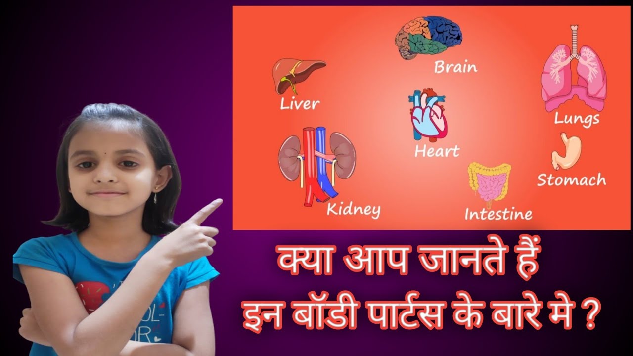 Kids Vocabulary Human Body Parts Name English Hindi Marathi With kids-vocabulary-human-body-parts-name-english-hindi-marathi-with