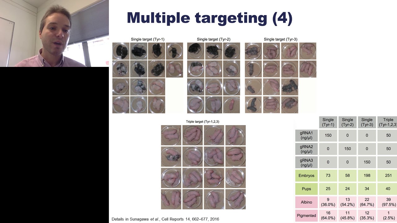 Whole-Genome Identification of CRISPR Targets - YouTube