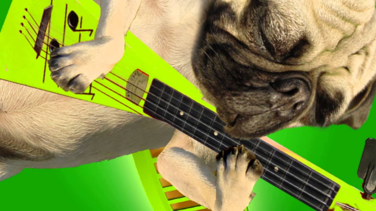 MUTATO MUZIKA - 2010 ANTI-MATED DVD TITLES - YouTube