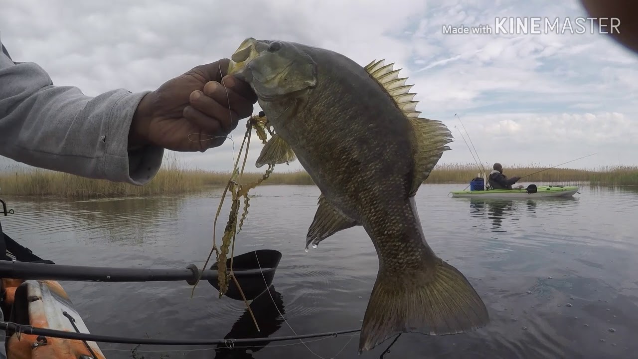 Berkeley Choppo 90 Is it better than a Whopper Plopper? - YouTube