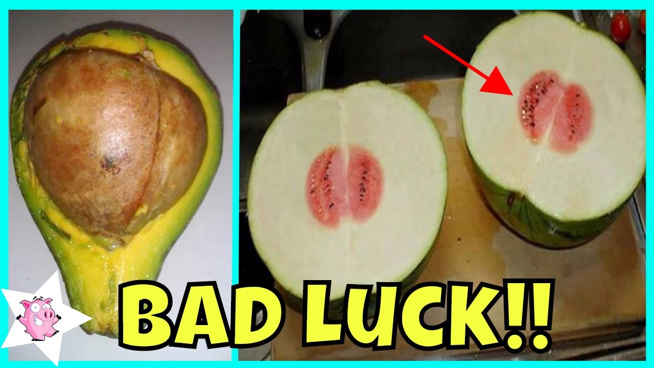 Times People Absolutely Lost The Food Lottery - YouTube