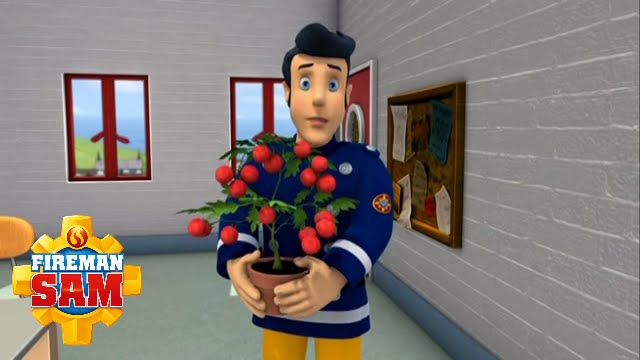 Fireman Sam Official: Preparations for the Flower & Vegetable Show ...
