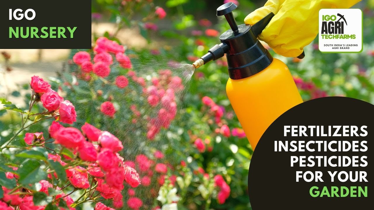 Fertilizers, Insecticides, Pesticides for your garden | IGO Nursery ...