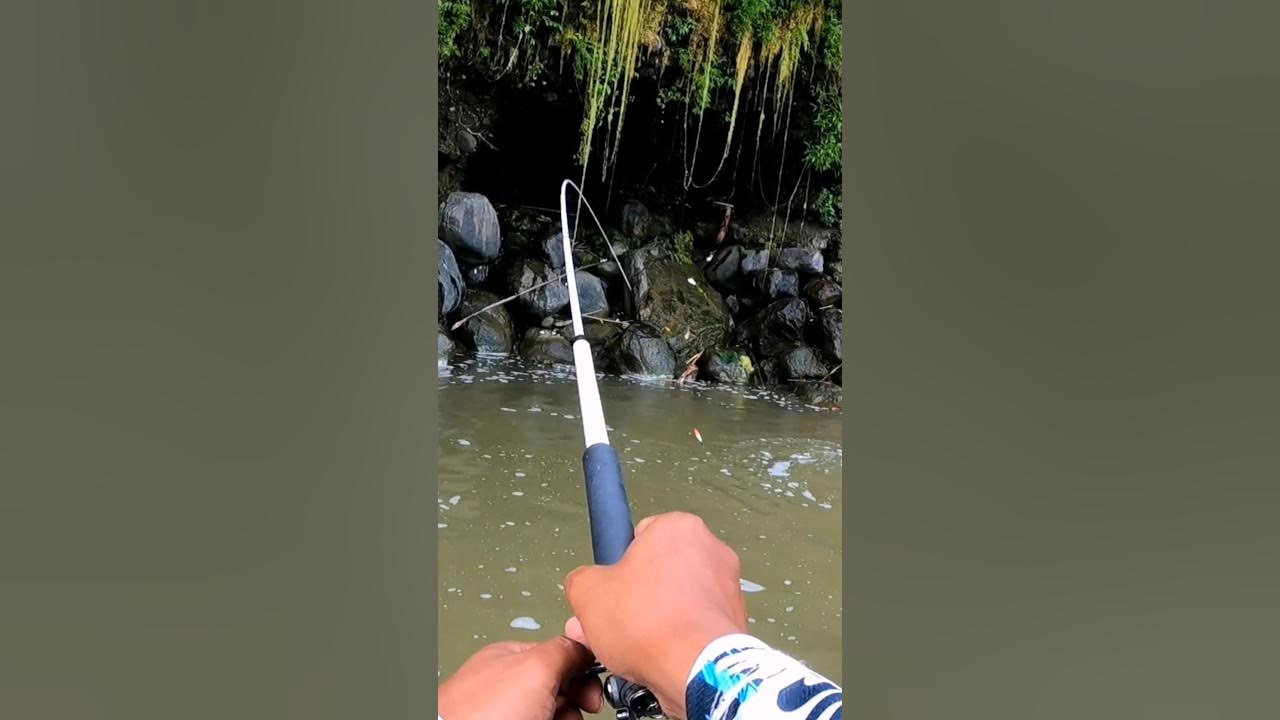 mancing di sungai serayu wonosobo #mancingmania #mancingliar #mancinguceng #microfishing - YouTube