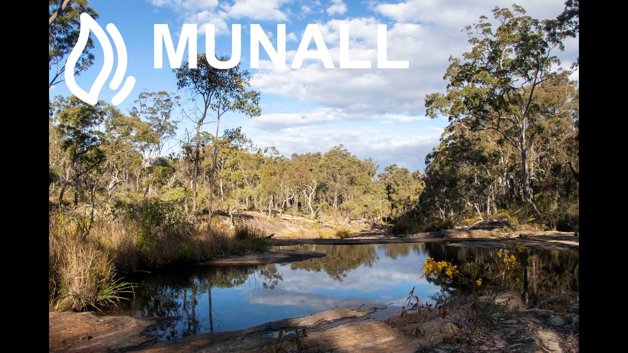 Munall Campground - Blackdown Tableland NP, Queensland - YouTube