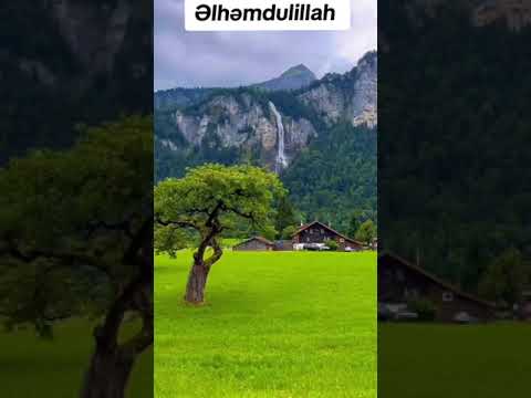 Elhemdullilah.     Əhli_sunne3