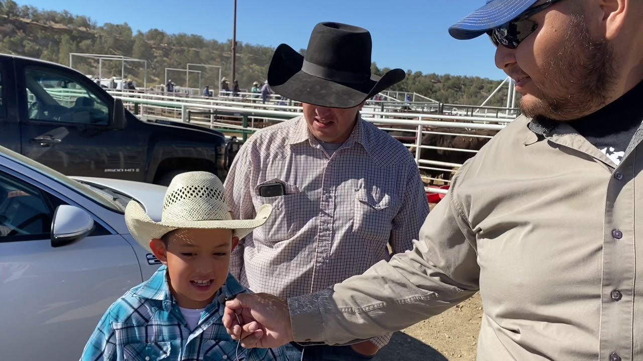 Wild Bronc Racing Cortez C.O - YouTube