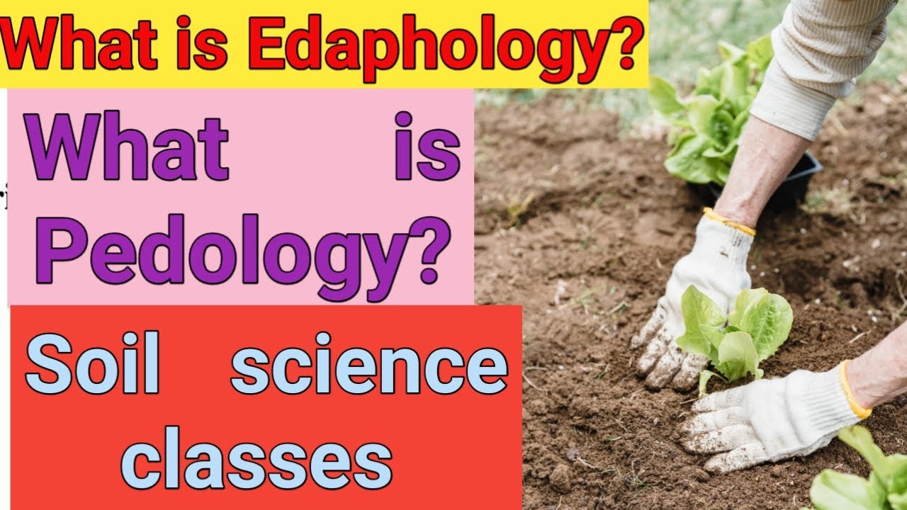 What is Edaphology? What is Pedology? Soil science classes ...