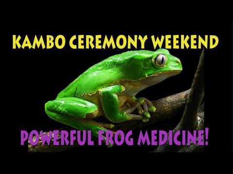 Kambo Ceremony Weekend | Powerful Frog Medicine! - YouTube