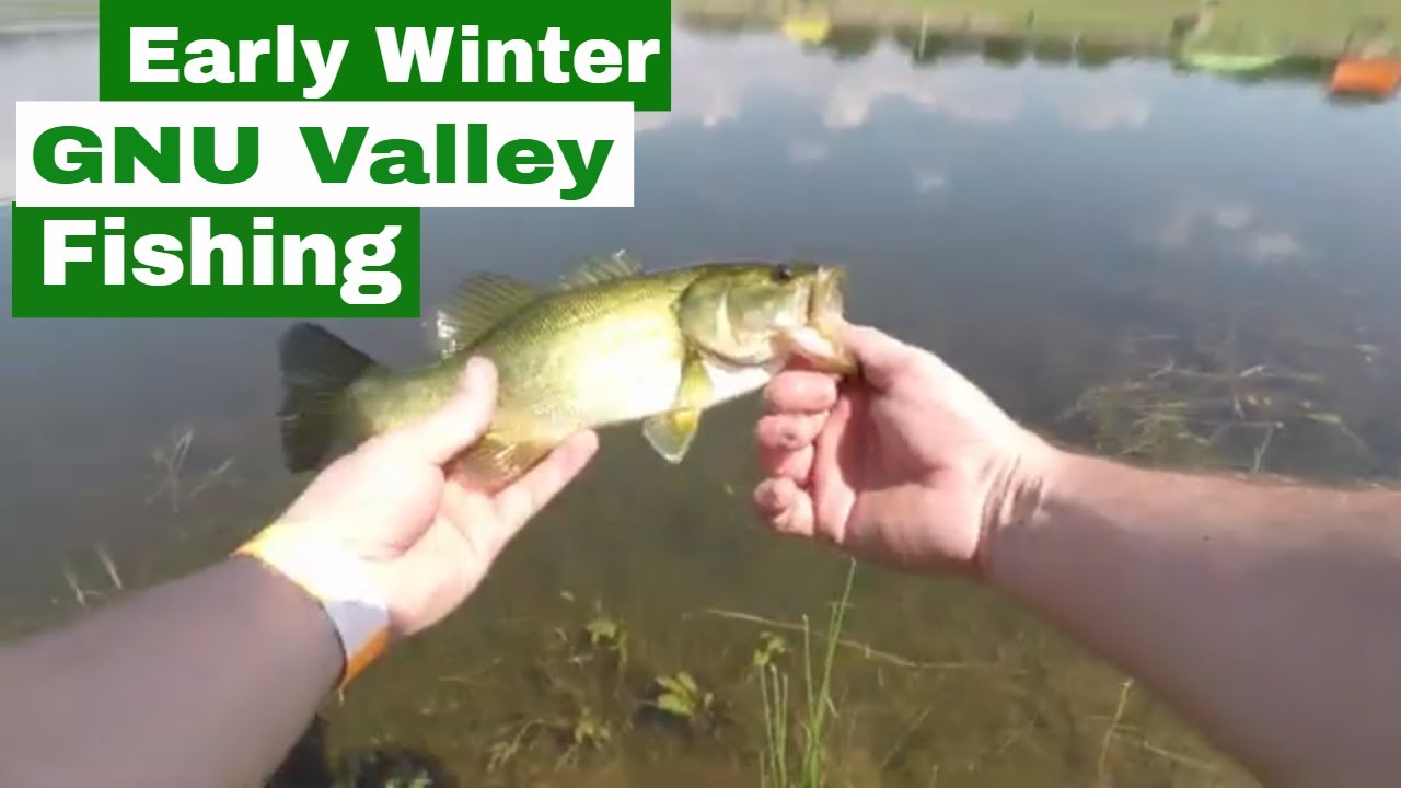 Bass Fishing At GNU Valley - YouTube
