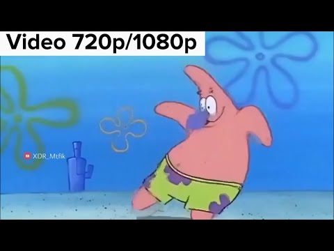 Video HD Ketika Masuk Status WA...(Meme)