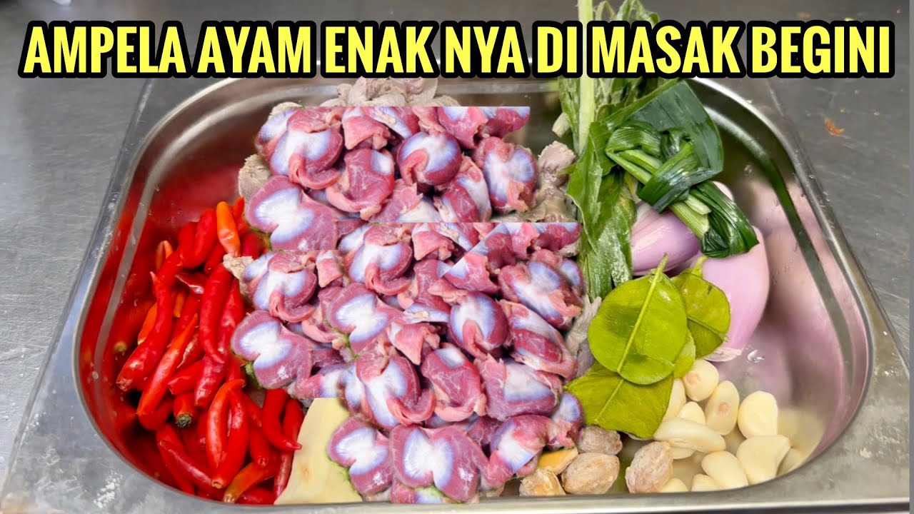 TERNYATA AMPELA AYAM DI BIKIN BEGINI JAUH LEBIH ENAK DAN BIKIN MAKAN ...