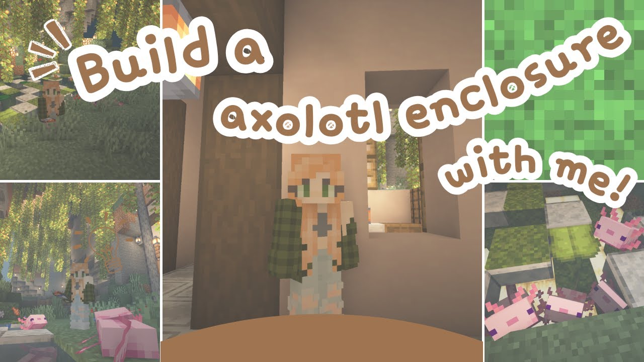 I Built An Axolotl Cave To See If They'd Use It - YouTube