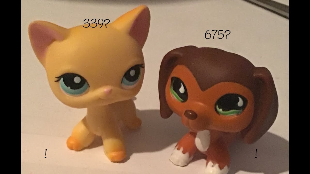 LPS #675? LPS Unboxing Pt. 1 - YouTube