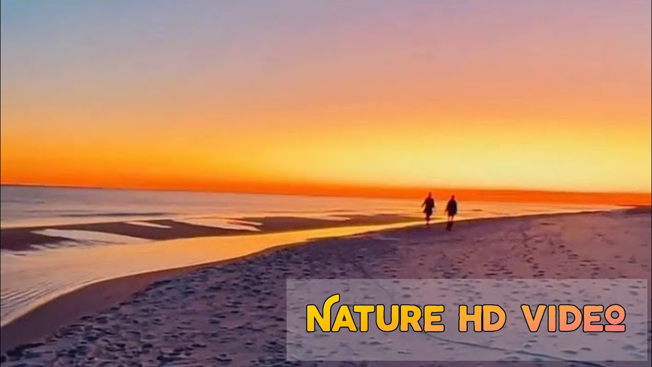 beautiful nature video | nature hd video | 4k nature - YouTube