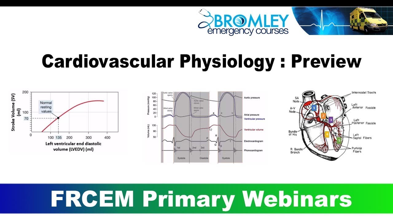 FRCEM Primary Webinar - Cardiovascular Physiology Preview - YouTube
