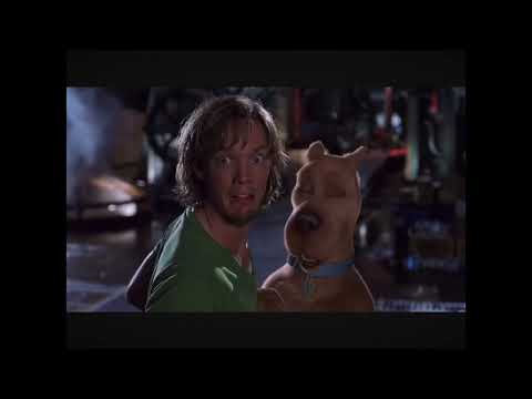 Super Peter Bros Movie Shaggy Flashback Peter Save Shaggy From Bully ...