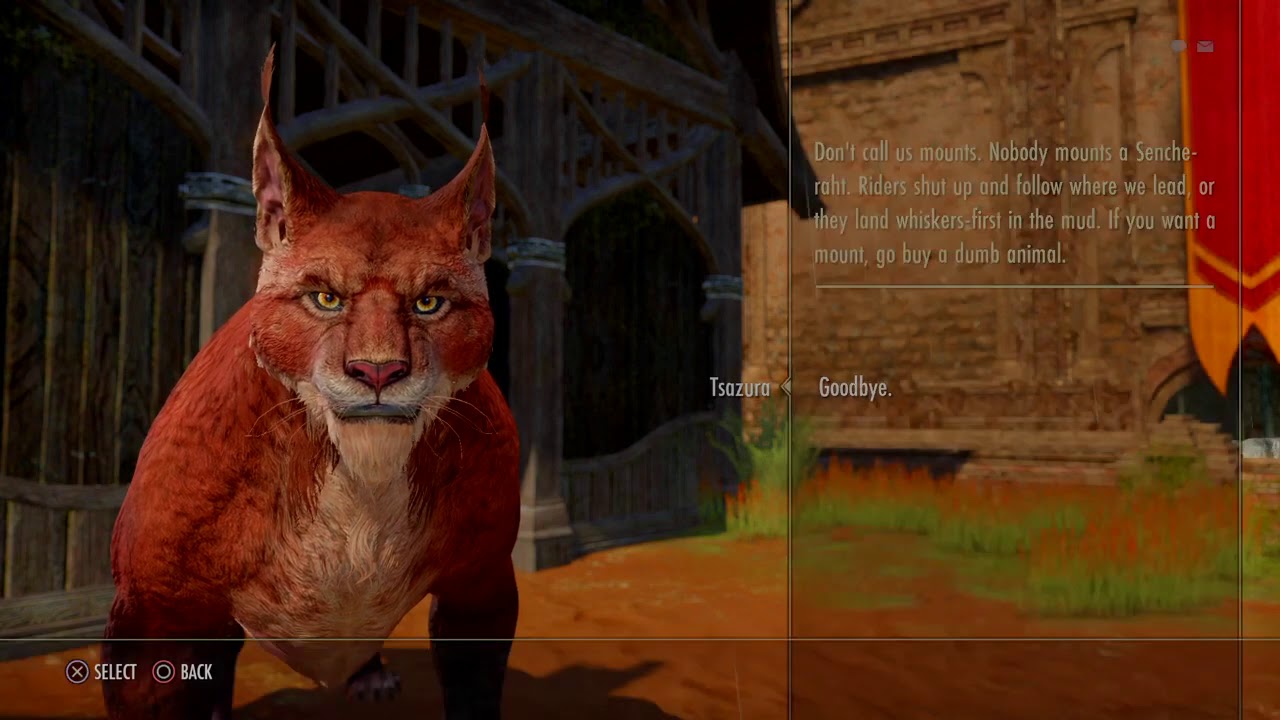 The Elder Scrolls Online: Tamriel Unlimited-Senche Raht - YouTube