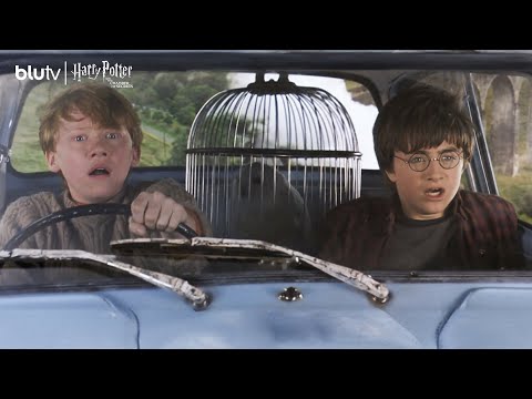 Harry Potter Serisi | Şimdi Yayında