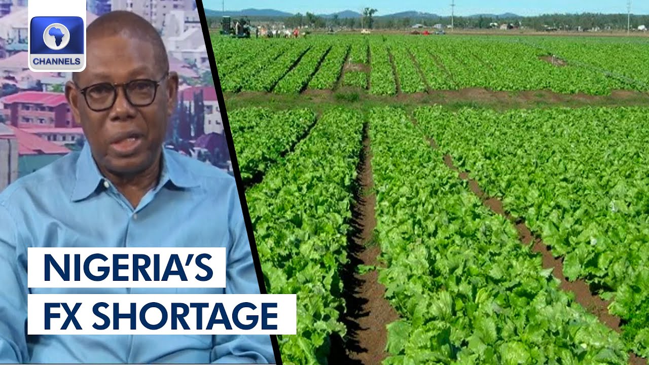 Assessing Agro-allied Solution To Boost Nigeria’s FX Shortage - YouTube