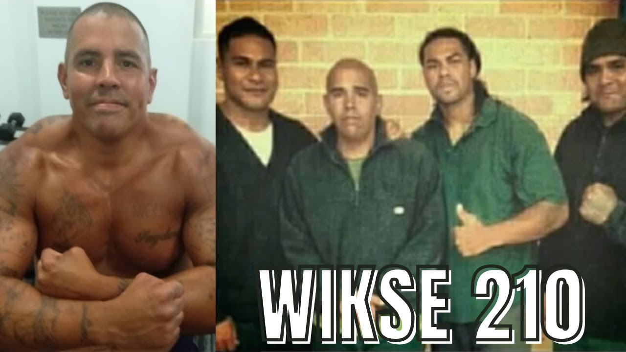 Wikse 210 | Sydney city OG searcher - YouTube