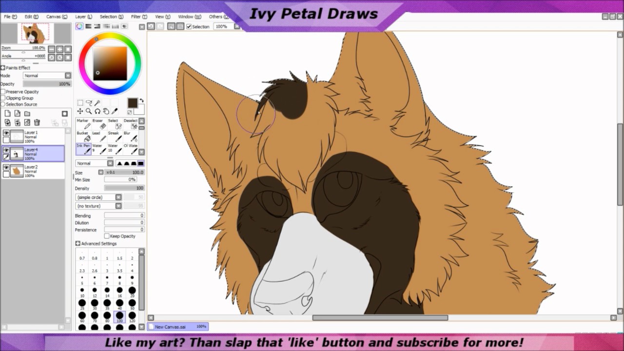 Corey Coyote | SpeedArt - YouTube