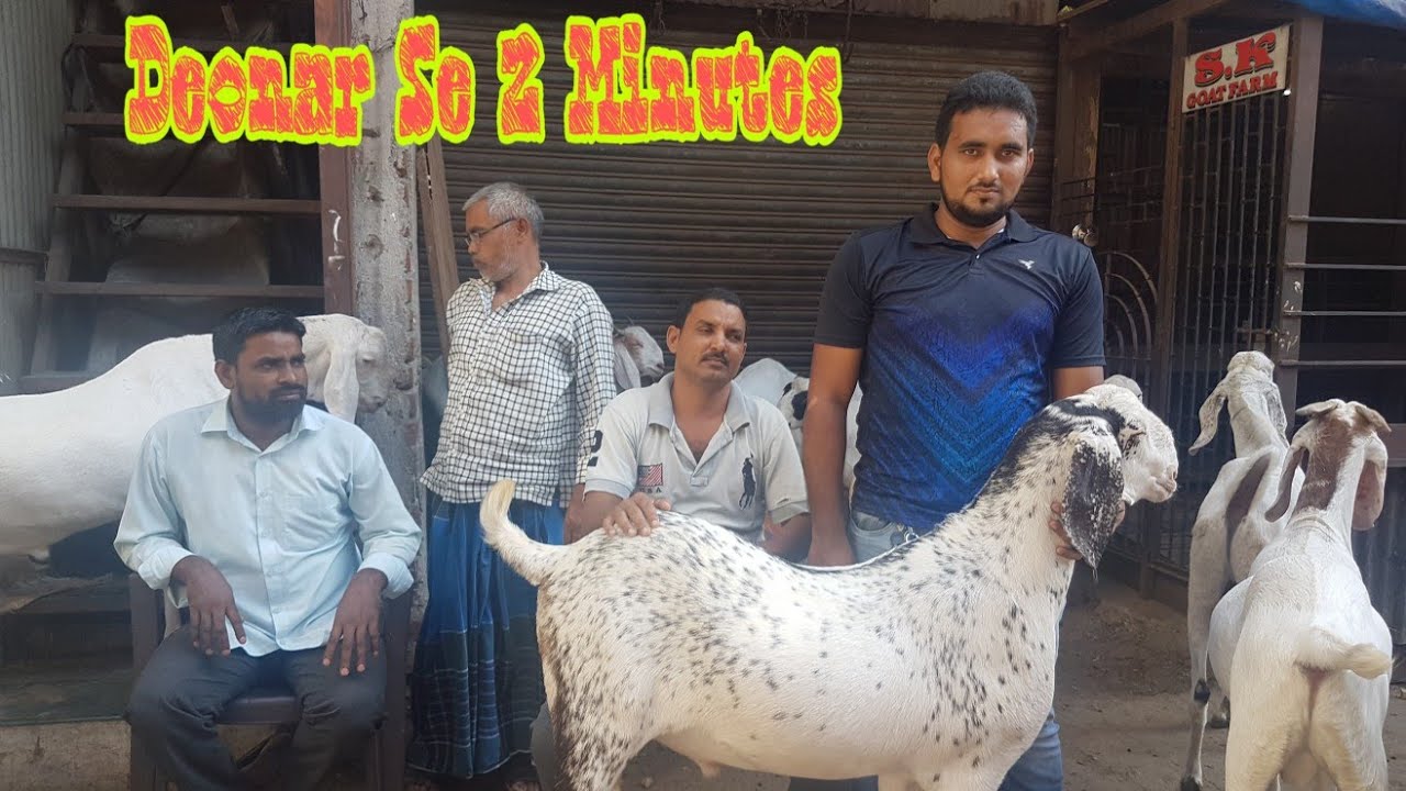 Deonar Ka Goat Farm | S.K Goat Farm Introduction Video. - YouTube