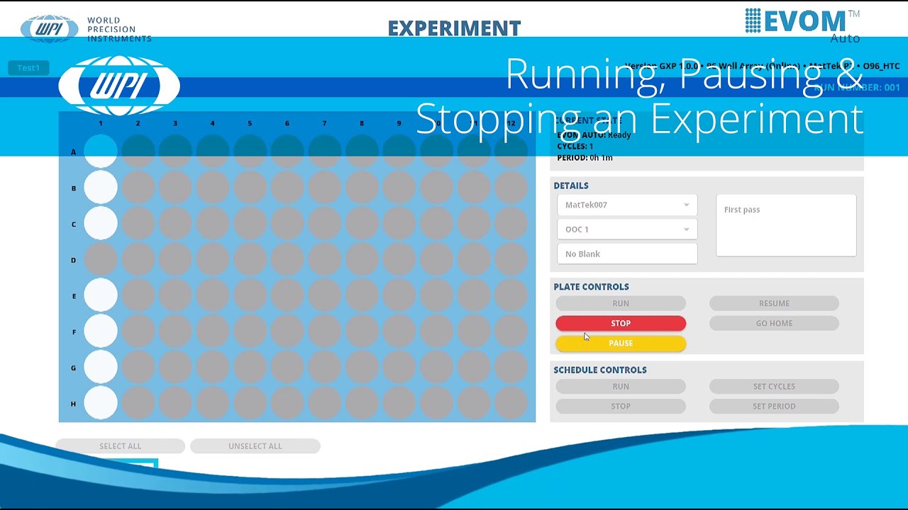 How to Run, Pause & Stop an EVOM™ Auto GXP Experiment - YouTube