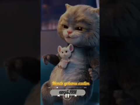 Tural sedali heyif o gunlerimden