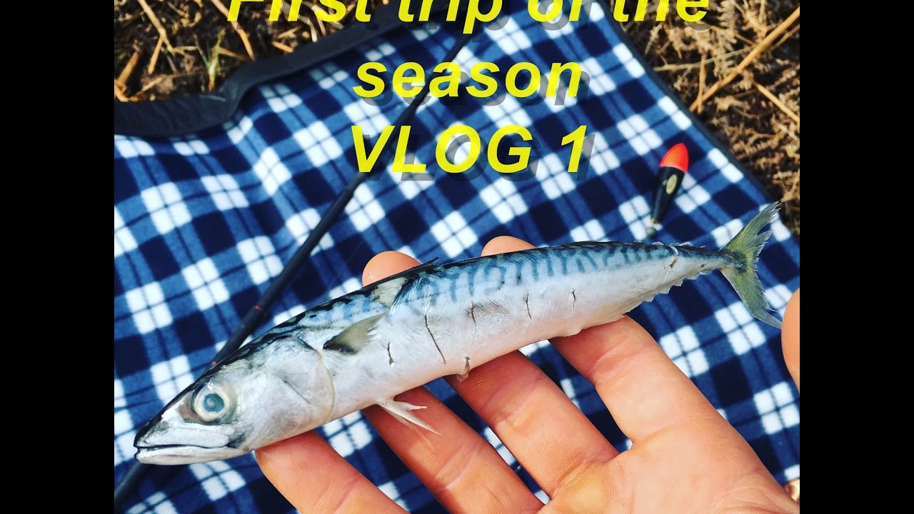 First pike trip of the year 2017 vlog 1 - YouTube