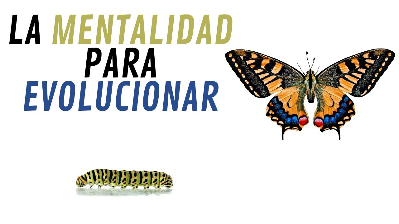El Increíble Proceso De Constante Evolución (Es Fácil Cambiar) - YouTube