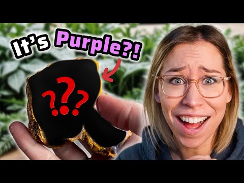 I Found a HUGE SURPRISE Cutting Open These Agates!