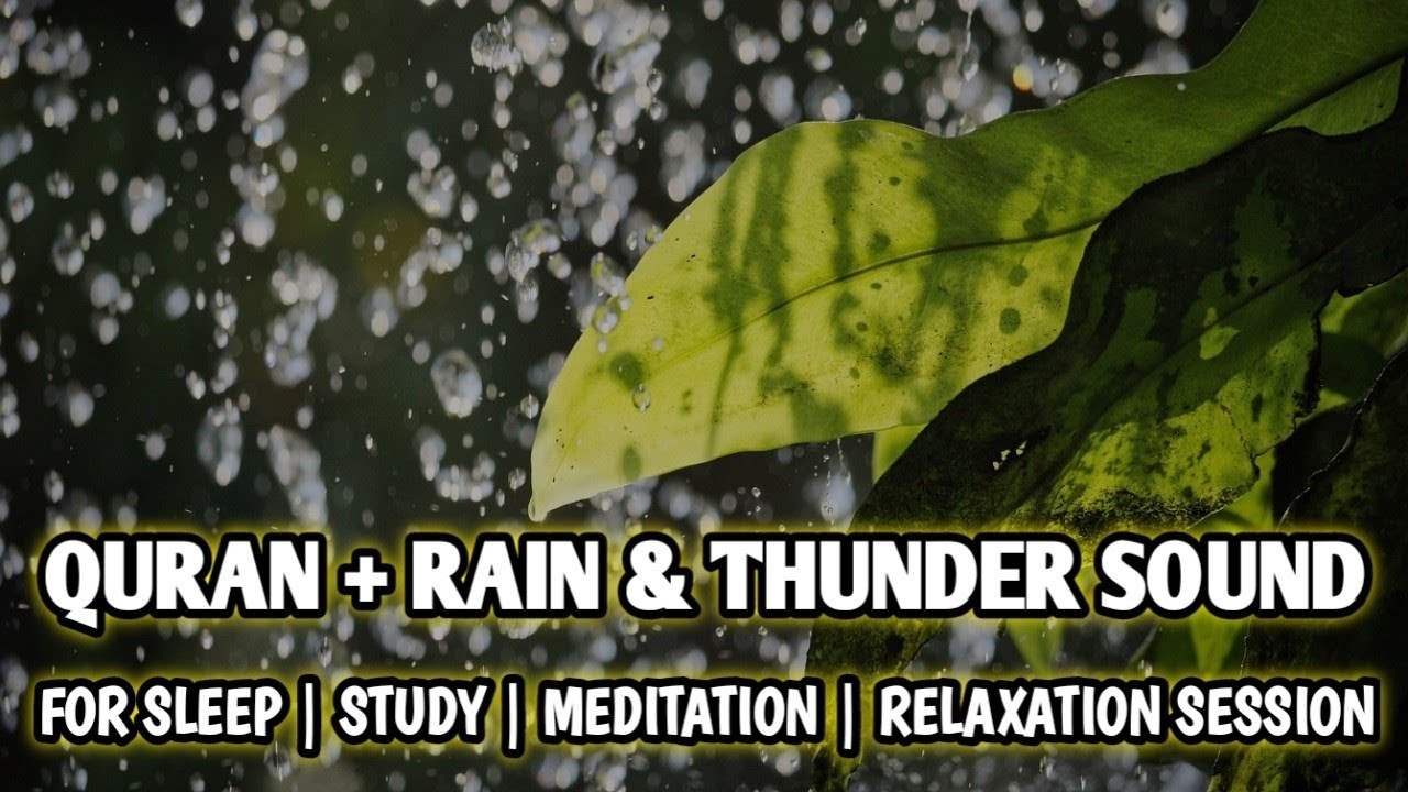 Rain And Peace Quran Recitation For Sleeping Relaxation Meditation ...