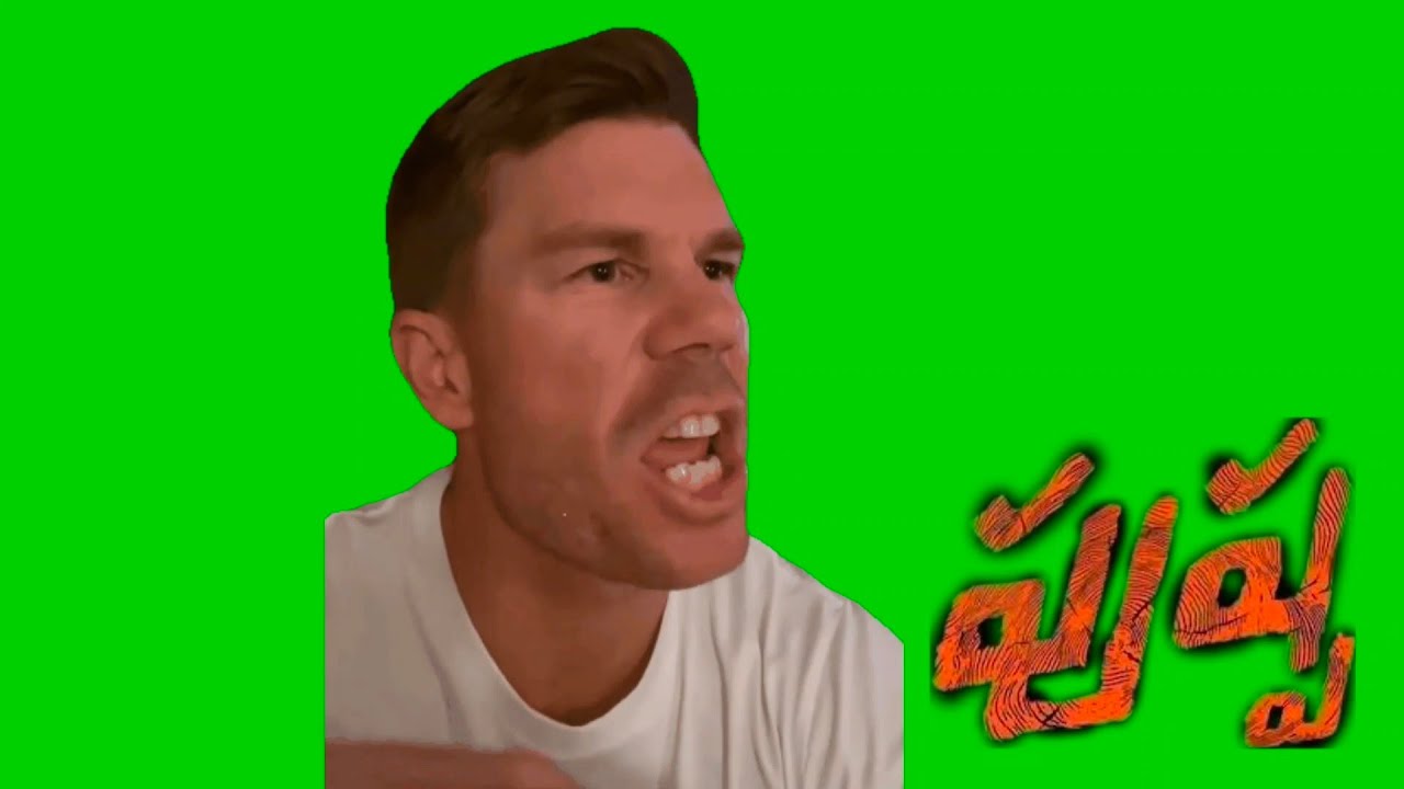 green screen Pushpa thaggedele dialogue in David Warner - YouTube