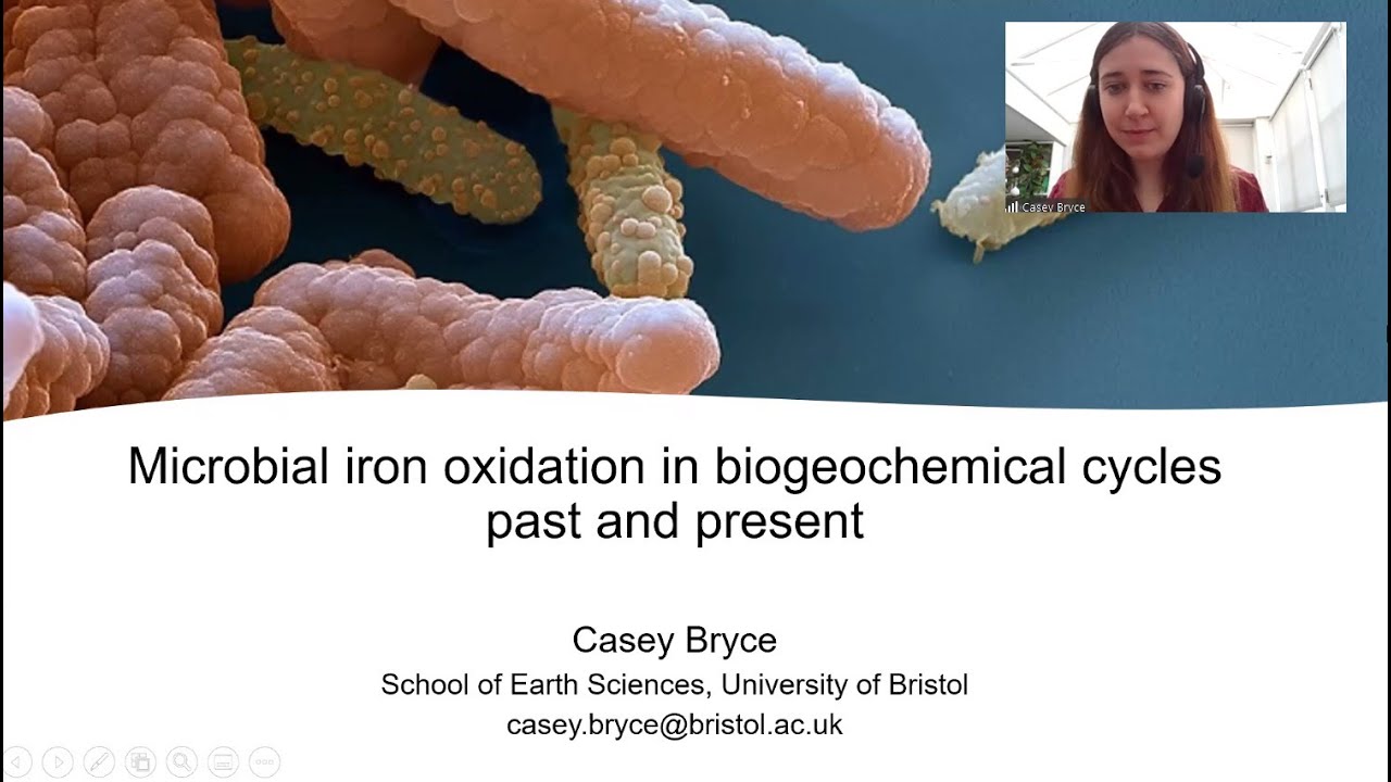 Microbial iron cycling in biogeochemical cycles past and present: Casey ...
