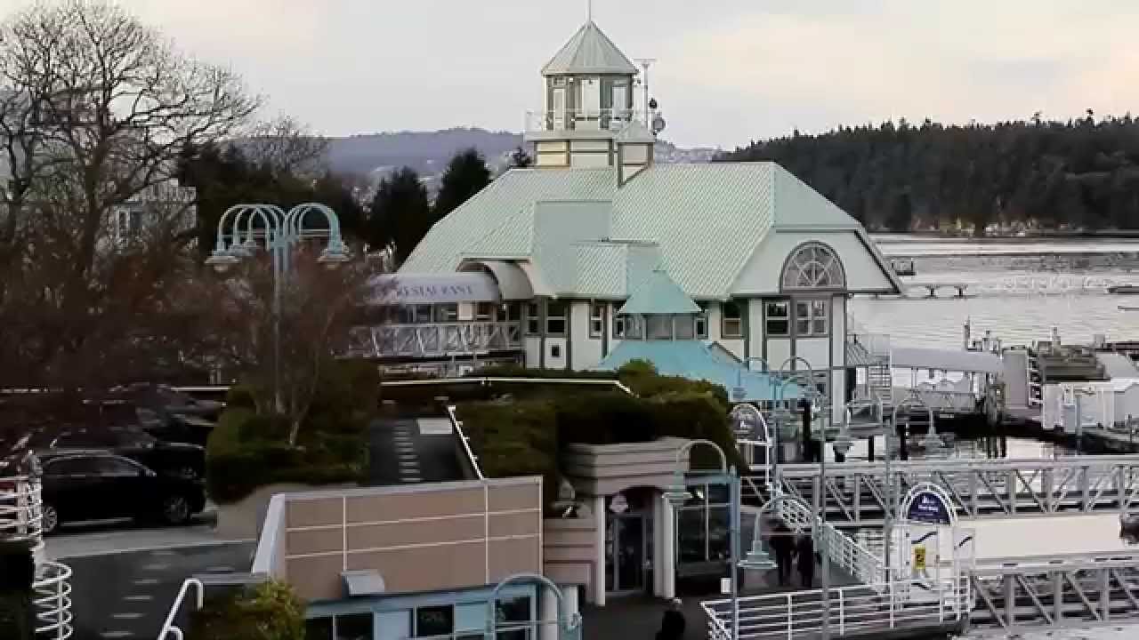 Test Footage of The Magnus VT-4000 Tripod - YouTube