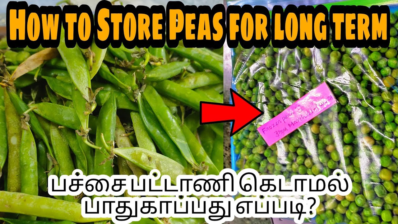 How to store peas for more than 3-4 months? / Easy way to prepare ...