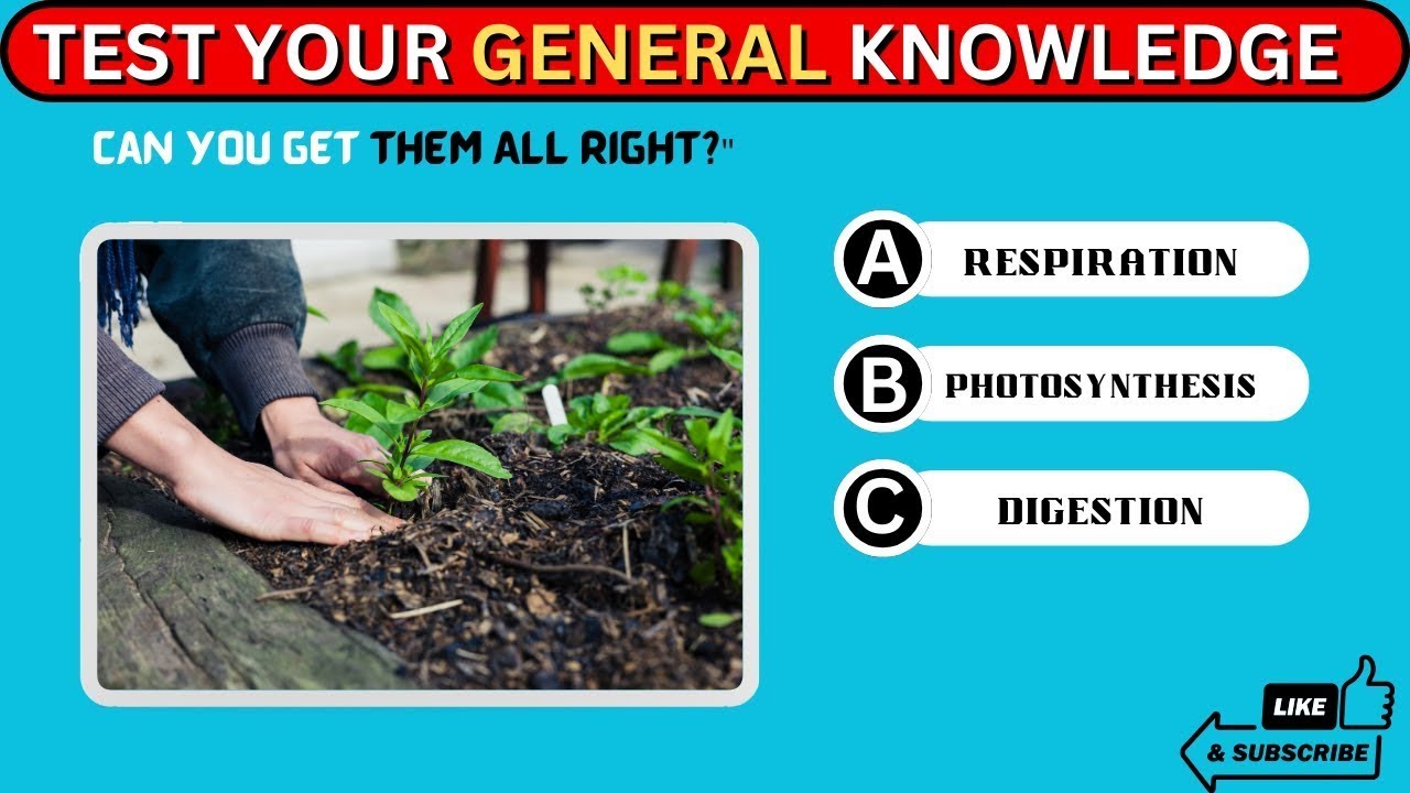 Test Your Knowledge With This Fun Challenge! (don't Miss Out) # ...