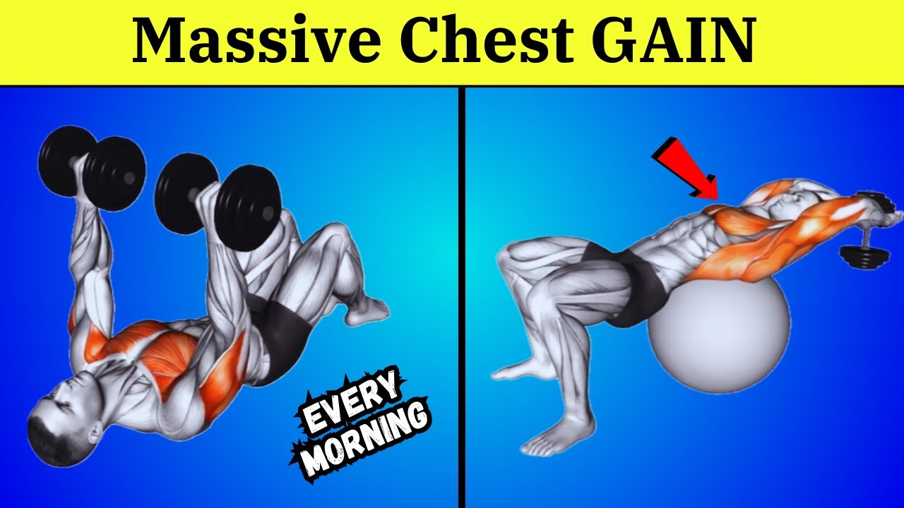 10 Best Effective Exercises To Build A Perfect Chest - YouTube