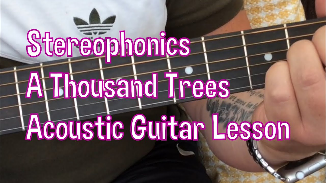 Stereophonics-A Thousand Trees-Acoustic Guitar Lesson. - YouTube