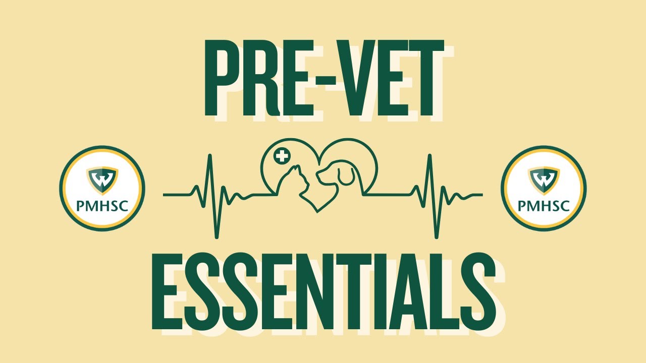 Pre-Vet Essentials - Wayne State University - YouTube