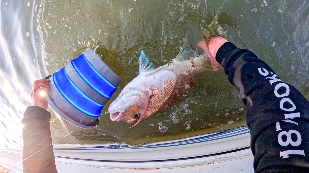 Shallow Water, Big Fish !!! - YouTube