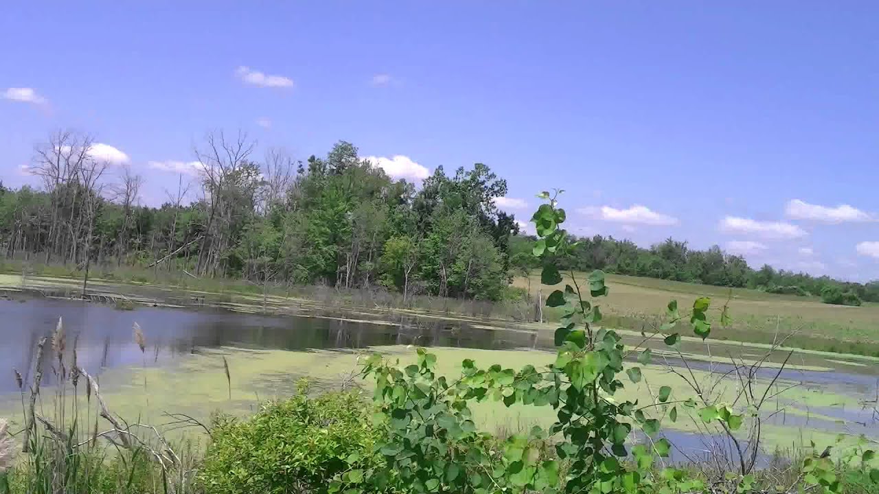 Columbia County New York State - YouTube