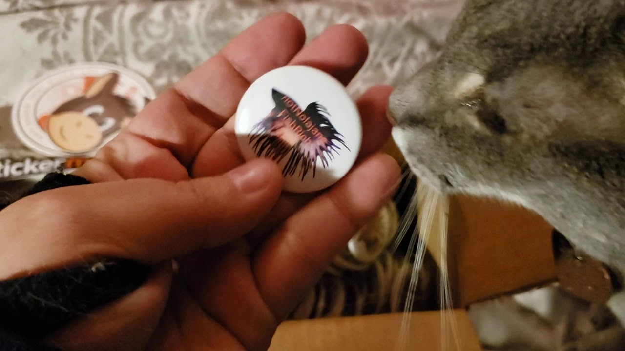 Sticker Mule Buttons for Aquashella? - YouTube