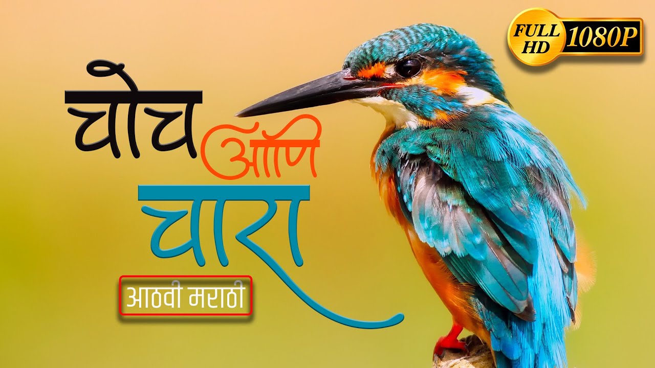आठवी मराठी चोच आणि चारा/स्पष्टीकरण/8 vi marathi chapter 16/8 vi marathi ...