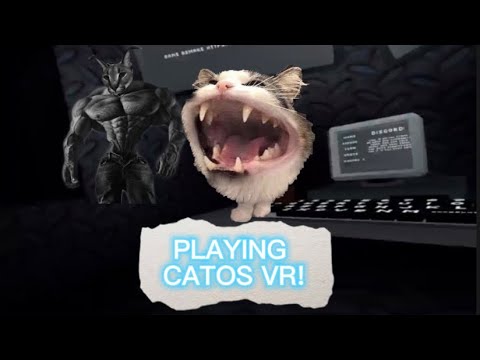 Playing catos VR first ever time! - YouTube