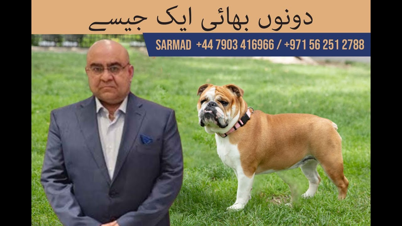 Black Maler Sarmad Khan Ki Haqeeqat || MLM King - YouTube