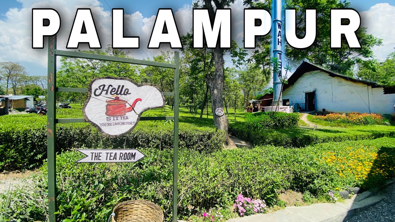 PALAMPUR Tourist Place | Off Beat Place in Himachal | WAH TEA ESTATE ...